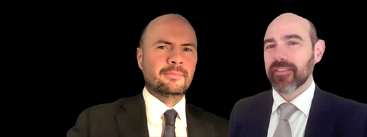 Di Cesare v Bishop Paul Bird and Congregation of the Christian Brothers ...